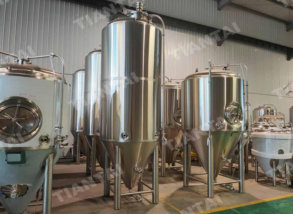 Fermenter temperature controller for beer brew system | TianTai® 2 ...