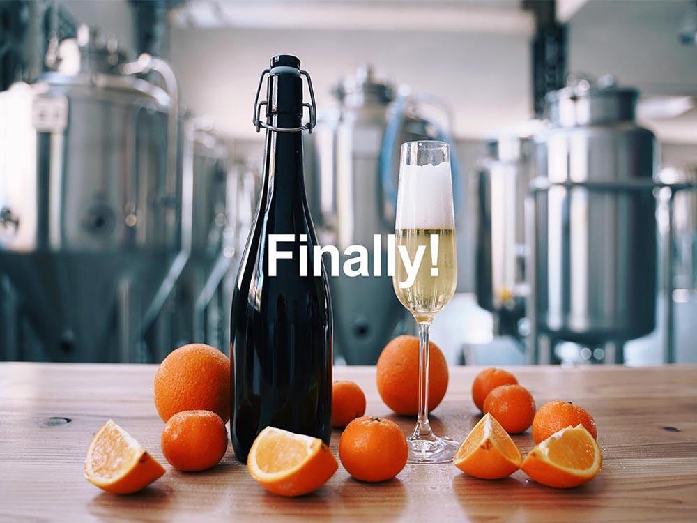 Regarding the beer loss in beer brewing process? | TianTai® 2-150HL ...