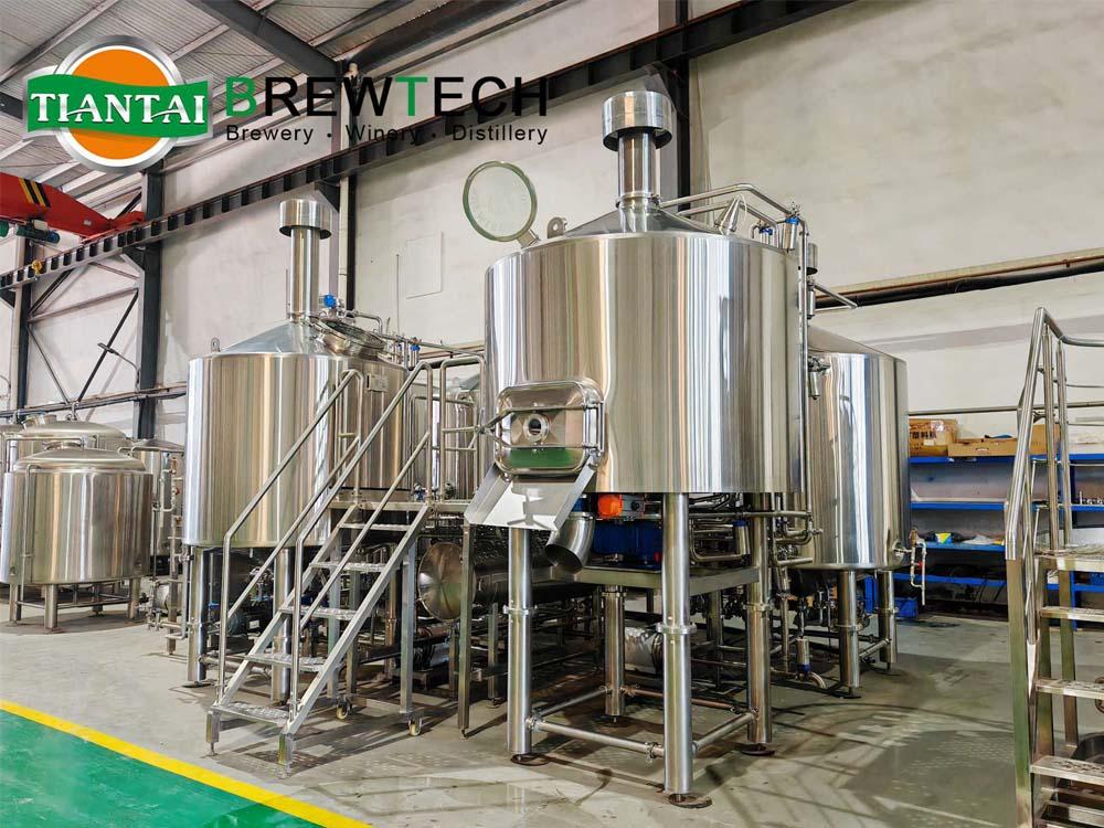 The Ginger Beer Brewing Process Explained Step-by-Step | TianTai® 2 ...