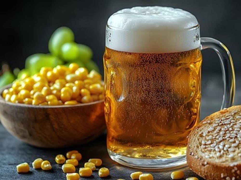 What Brewing Equipment Is Necessary for Brewing Beer with Maize (Corn ...